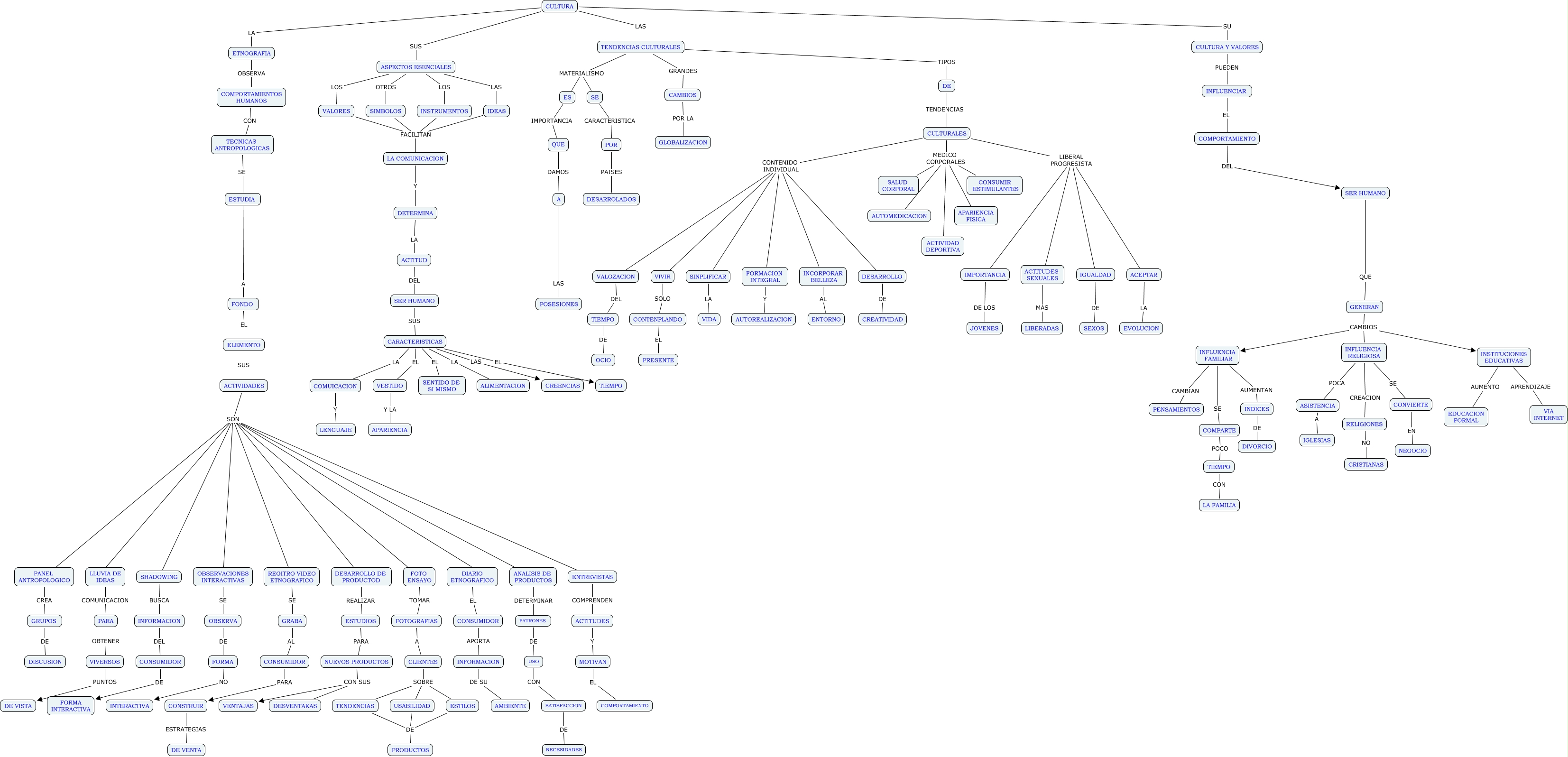 TEMA 7 COMPORTAMIENTO DEL CONSUMIDOR - CULTURA